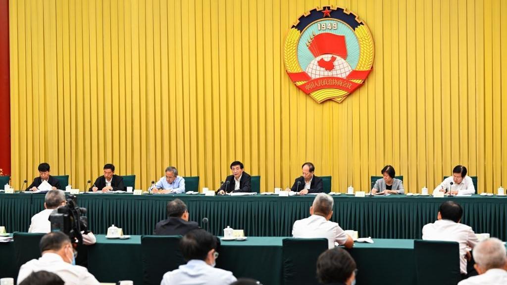 Top political advisor urges efforts on economic development