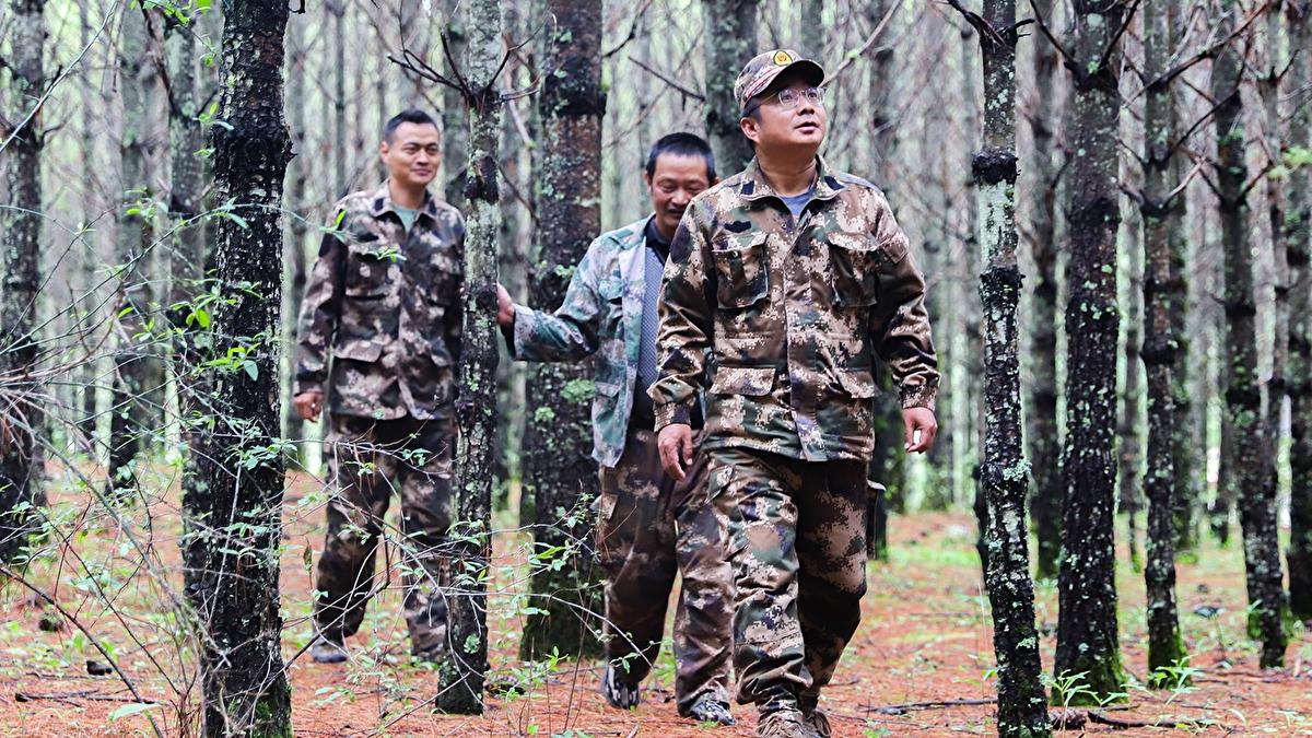 Routes of protection