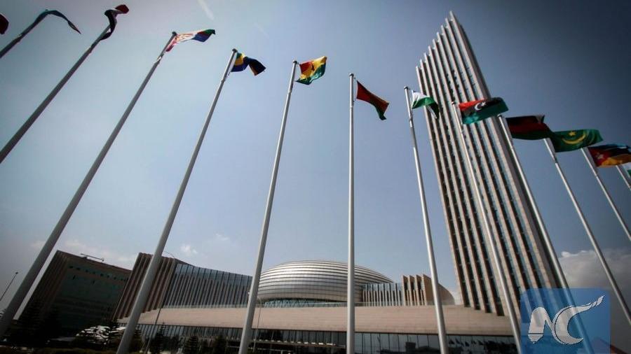 Africa development agency's role hailed