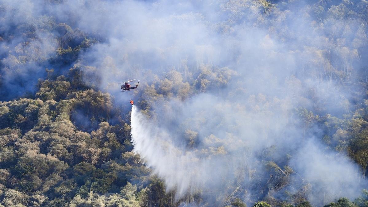 Chongqing wildfires put under control