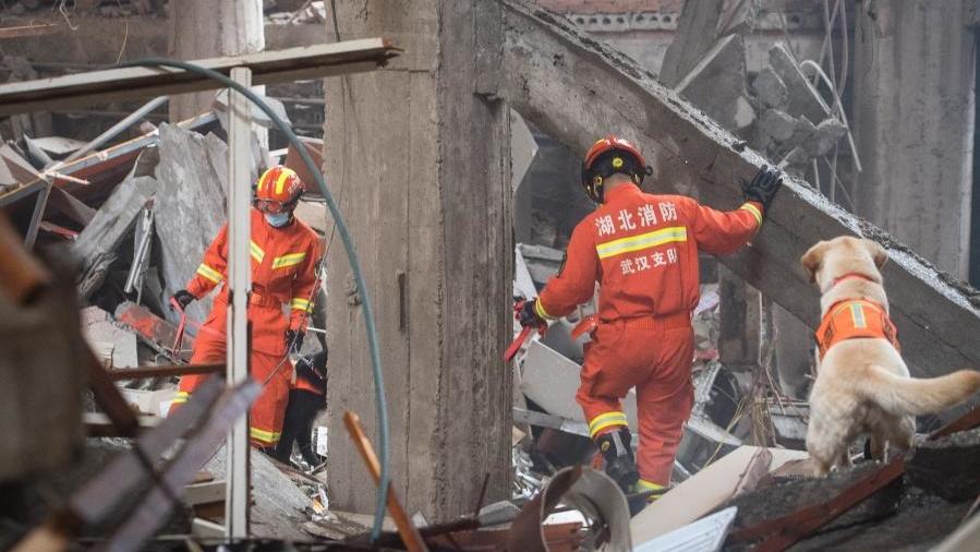 Eight detained over fatal gas explosion in central China