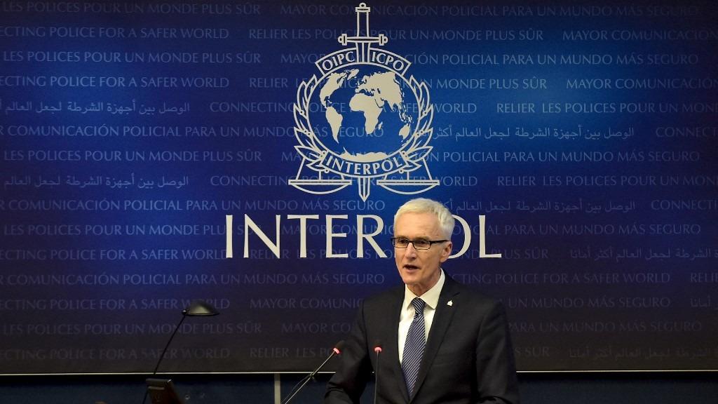 Interpol: Cybercrime, online abuse 'significantly underreported'
