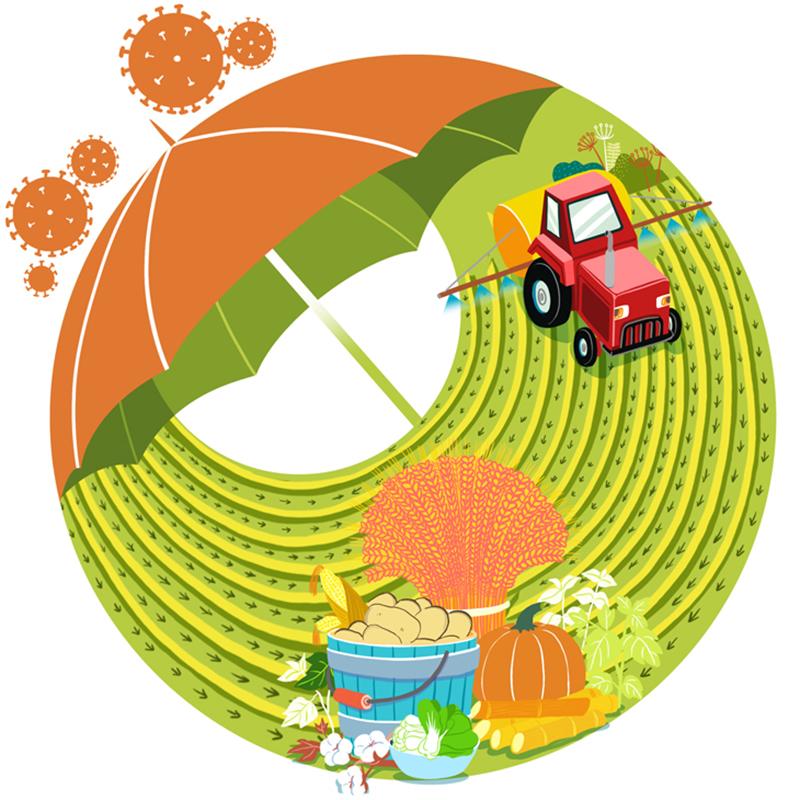 Protecting food security for the vulnerable