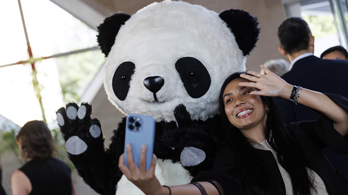 Pandas highlight of 50 years of US-China ties