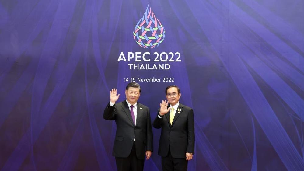 Full text: Xi's speech at 29th APEC Economic Leaders' Meeting