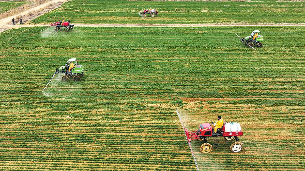 China outlines government roles in rural revitalization drive