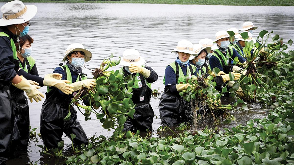 Developing nations can learn from China to meet SDGs