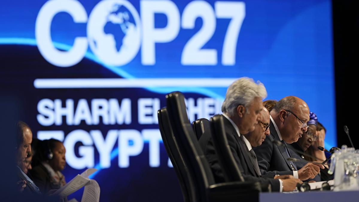 COP27 summit 'missed chance' on fossil fuels, critics say