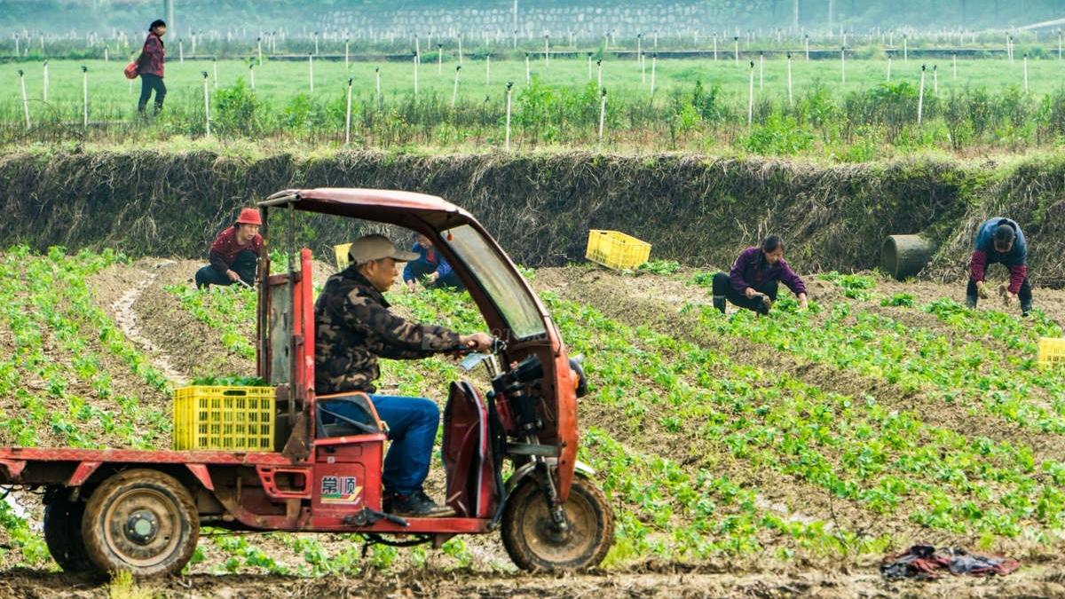 Agricultural economy key in poverty fight