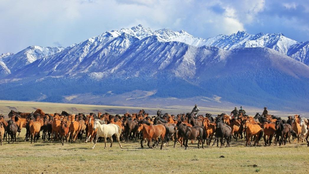 Green drive scales new peaks