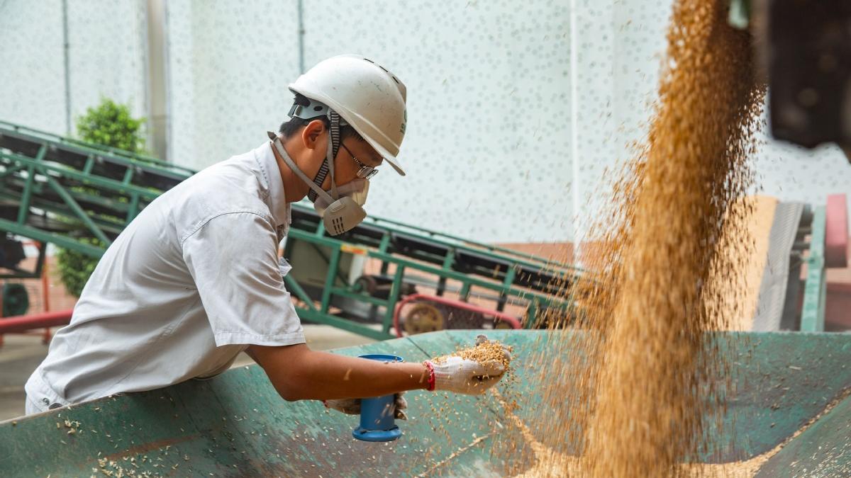 Sinograin eyes high-tech to ensure food supply