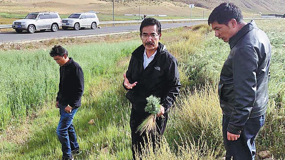Remembering champion of Tibet food security