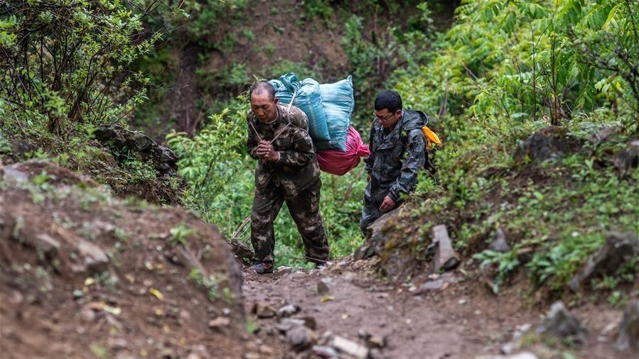 Ranger shows monkeys humans can be kind