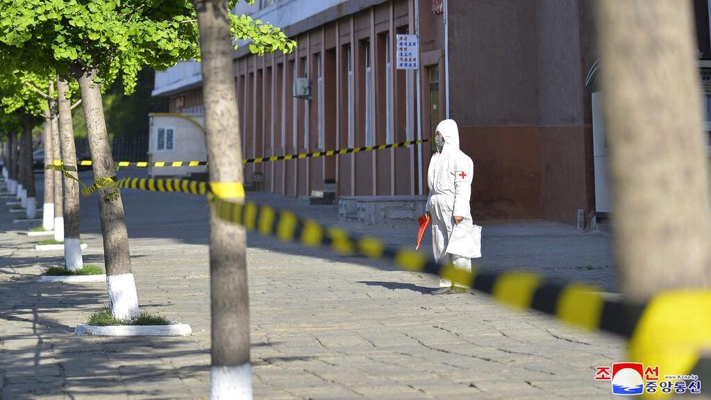 Daily new fever cases drop below 30,000 in DPRK