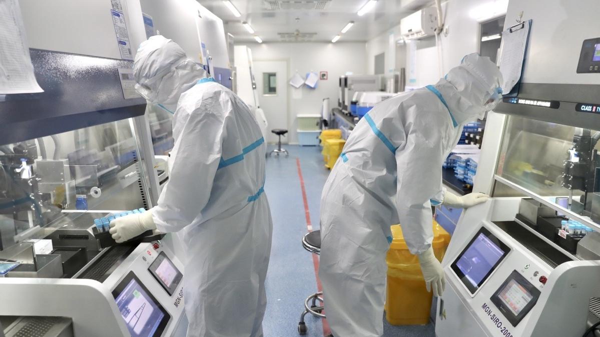 Year of struggle and success signals growing strength