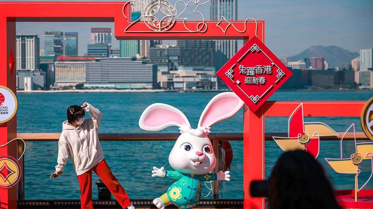 Hello rabbit, see you tiger