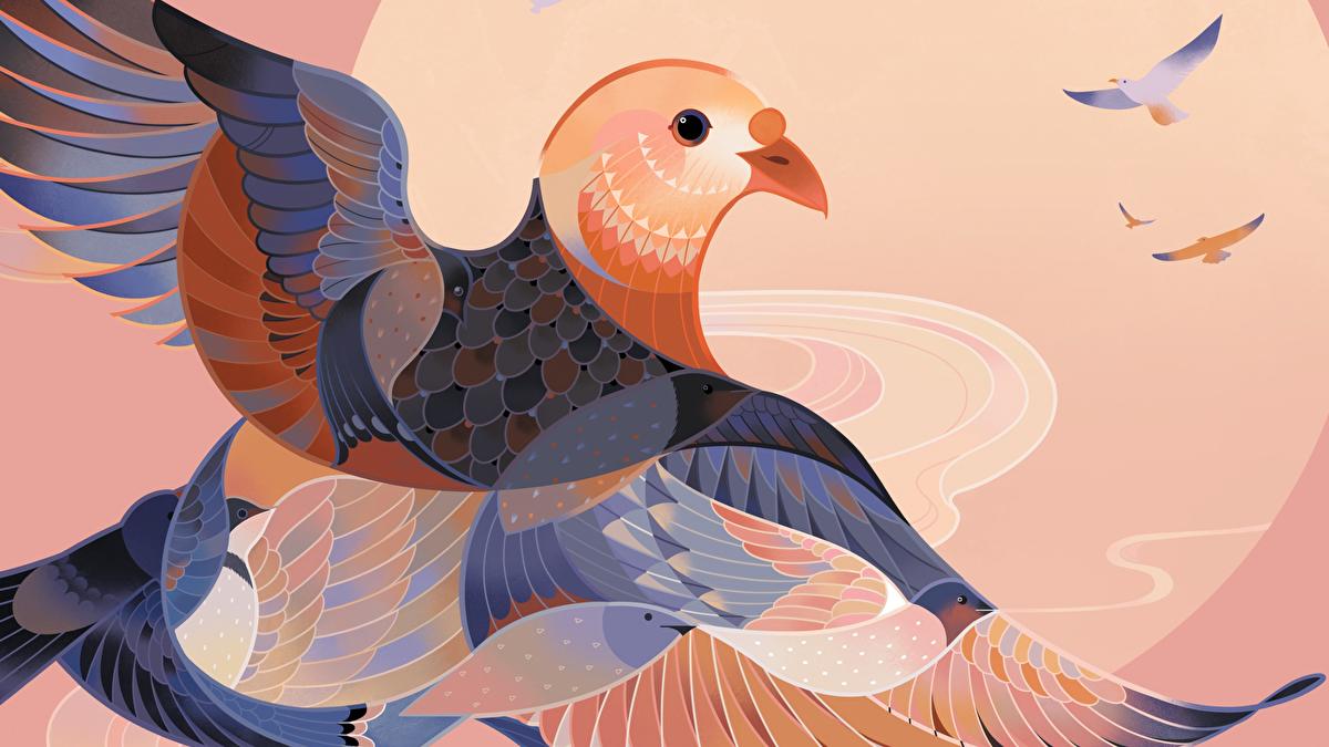 Building a better world