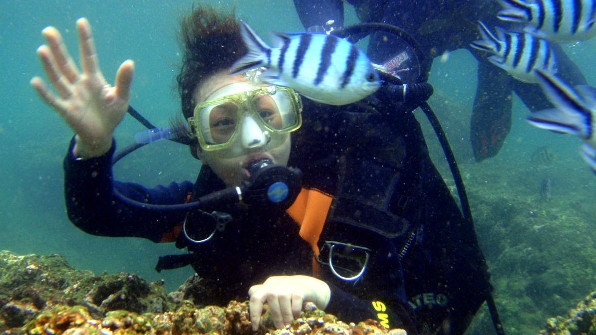 China's Sanya turns hot spot for diving fans