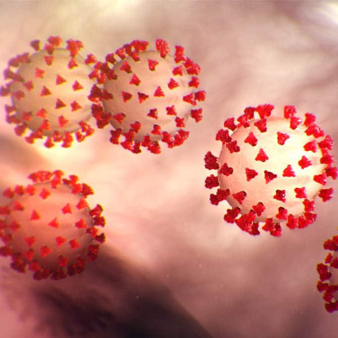 Ensuring none is left behind in pandemic fight