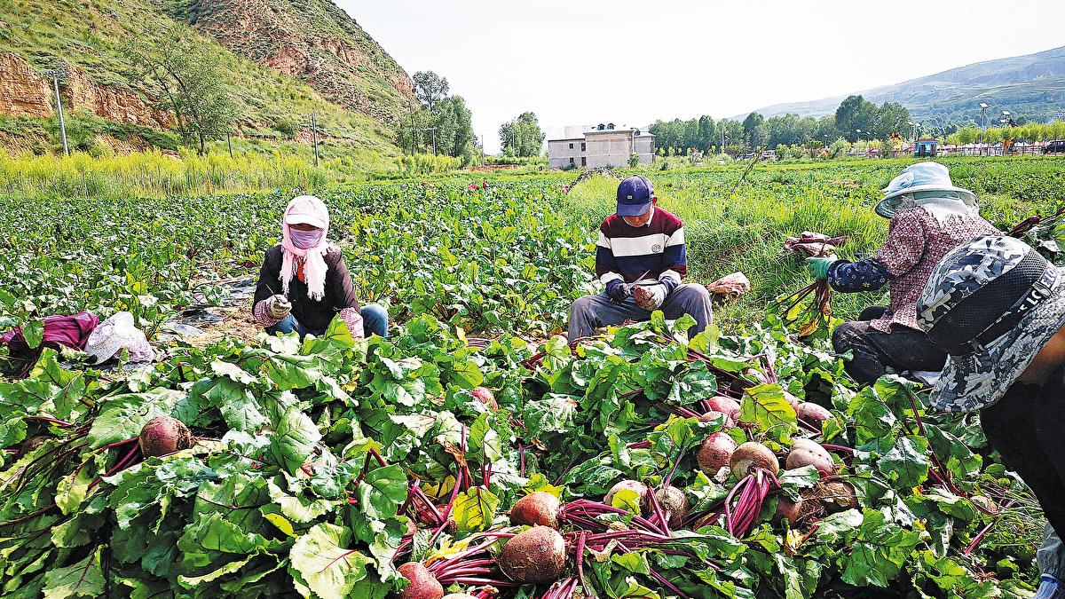 Sowing celestial seeds