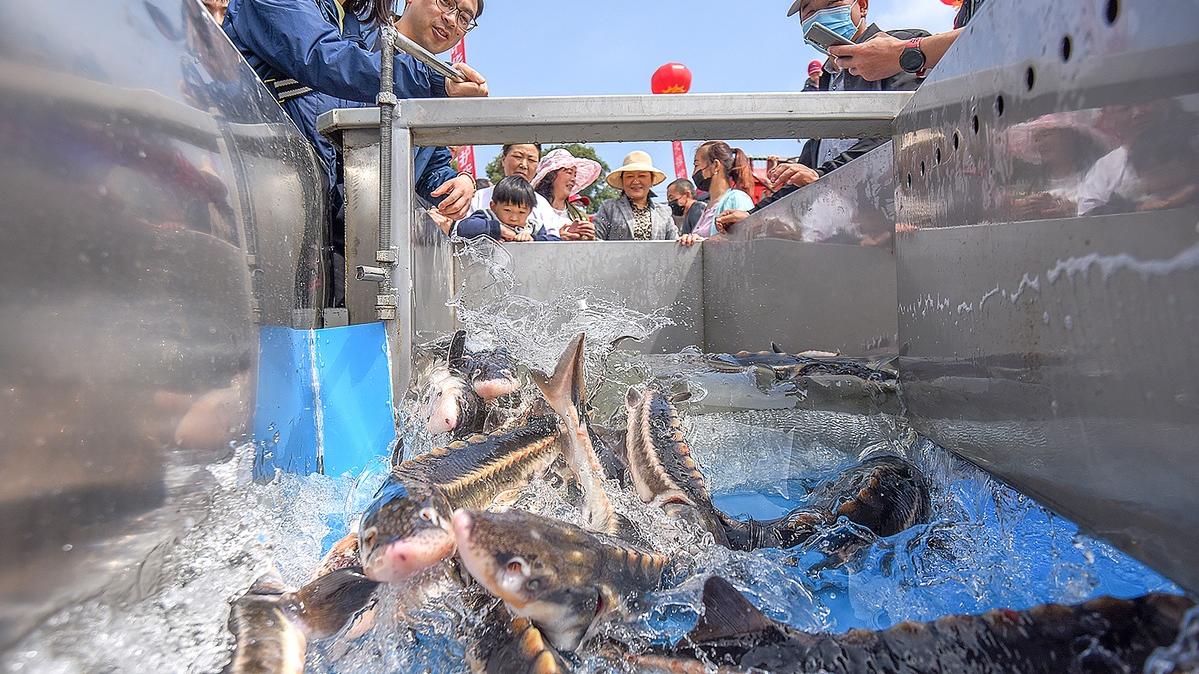 Enforcement targets illegal fishing operations