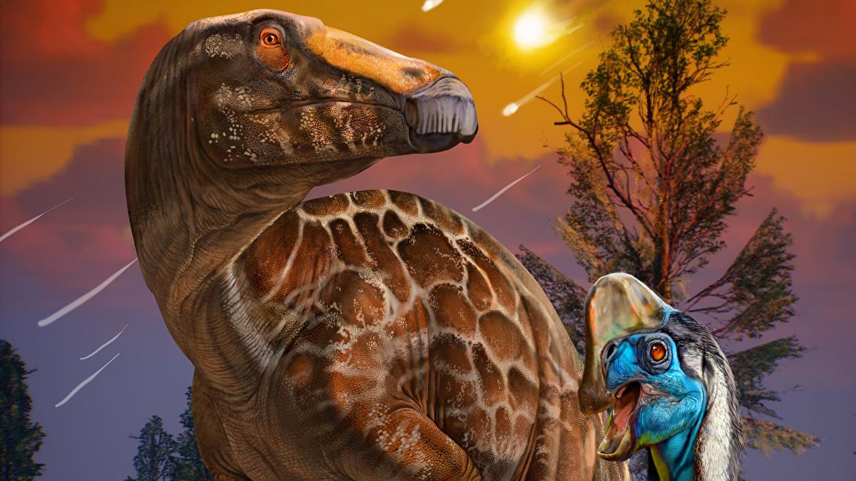 Waning biodiversity may have role in dinosaur extinction