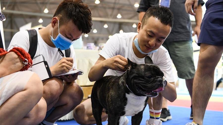 Firm launches customized solutions for consumers