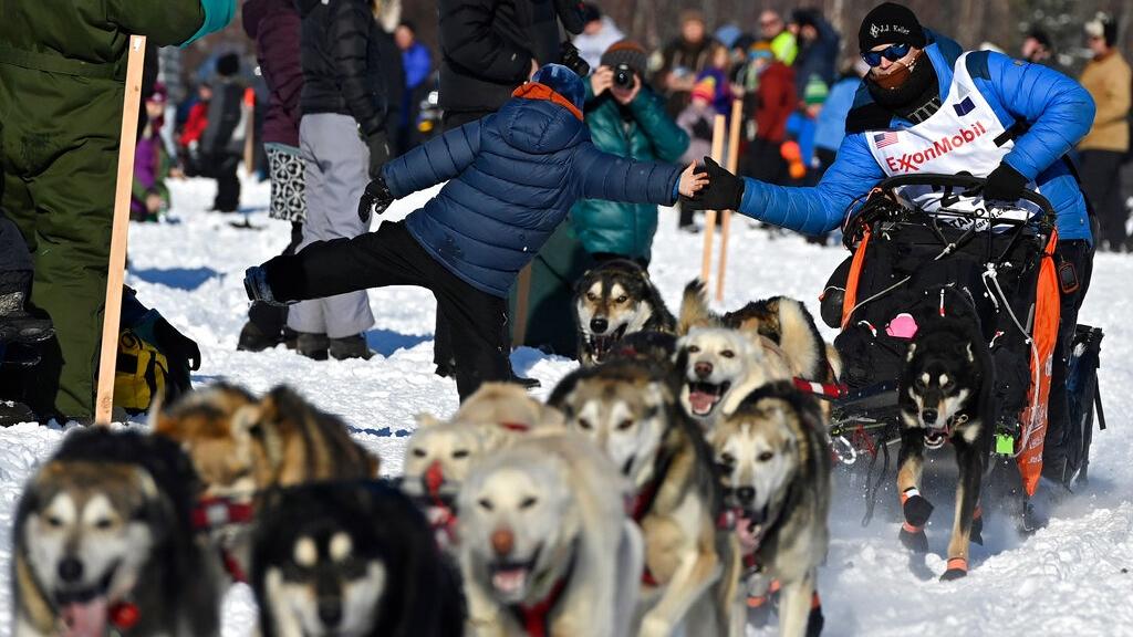 Iditarod sled dog teams dash off from secluded Alaska river site