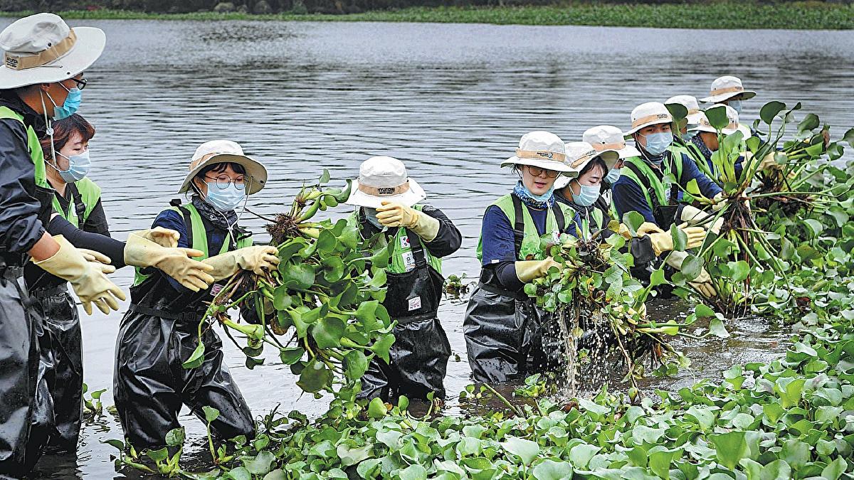 The fine line between growth and staying green