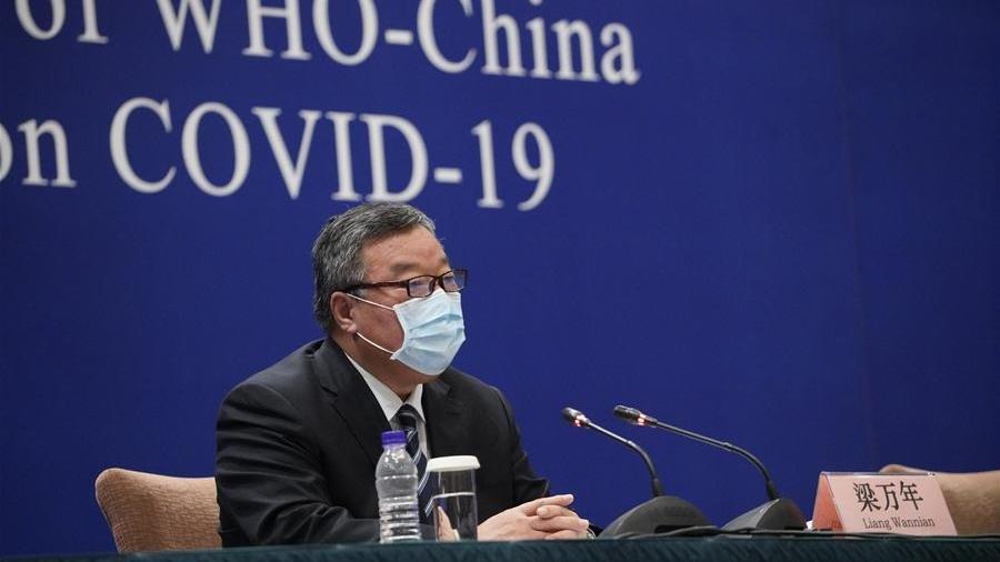 WHO-China team: Search for early virus cases should go on