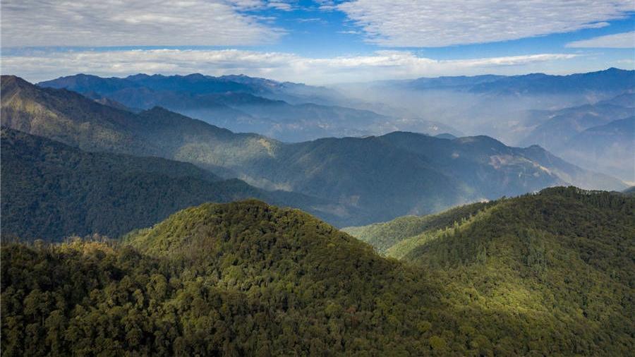 Rare woolly flying squirrels discovered in Southwest China