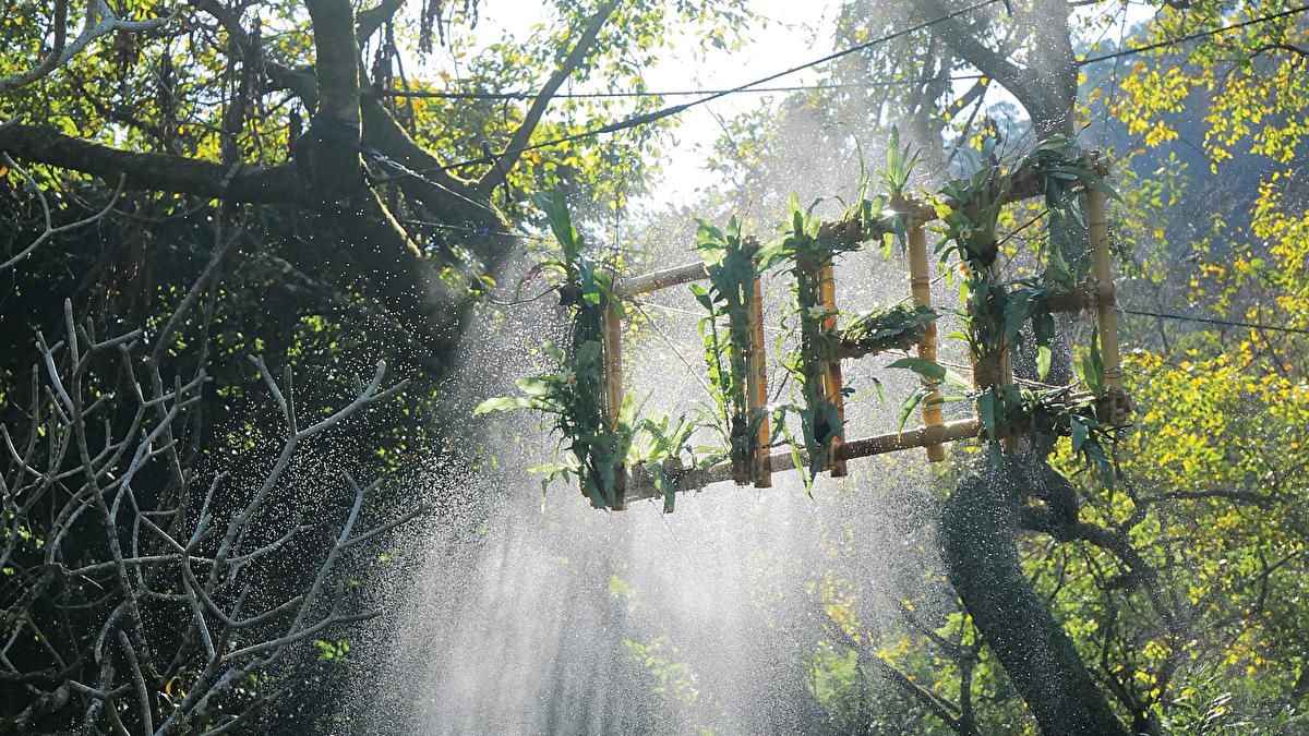 The flowering of nature-inspired art