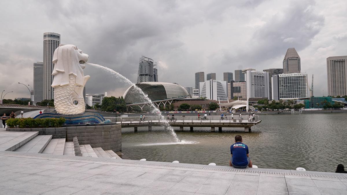 Singapore's alleged nickel scammer sued in $377 million action