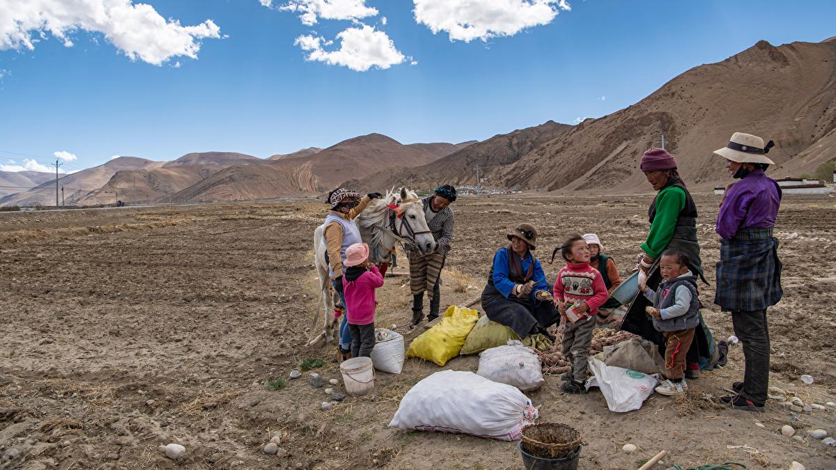 Spring reaches Dingri