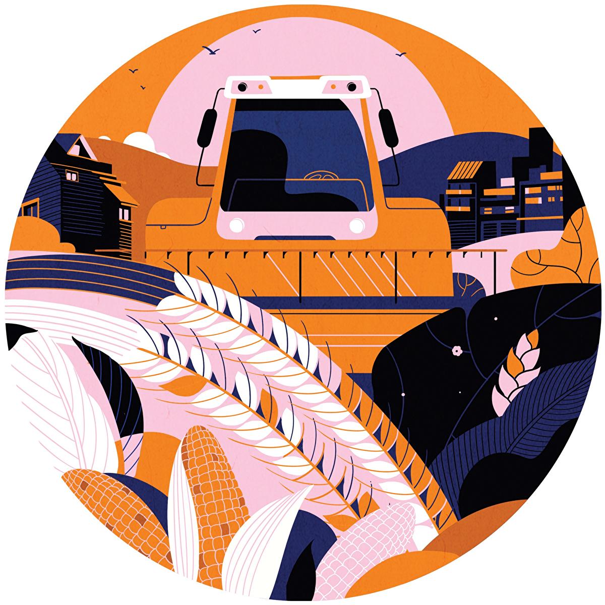 BRI enhances food security