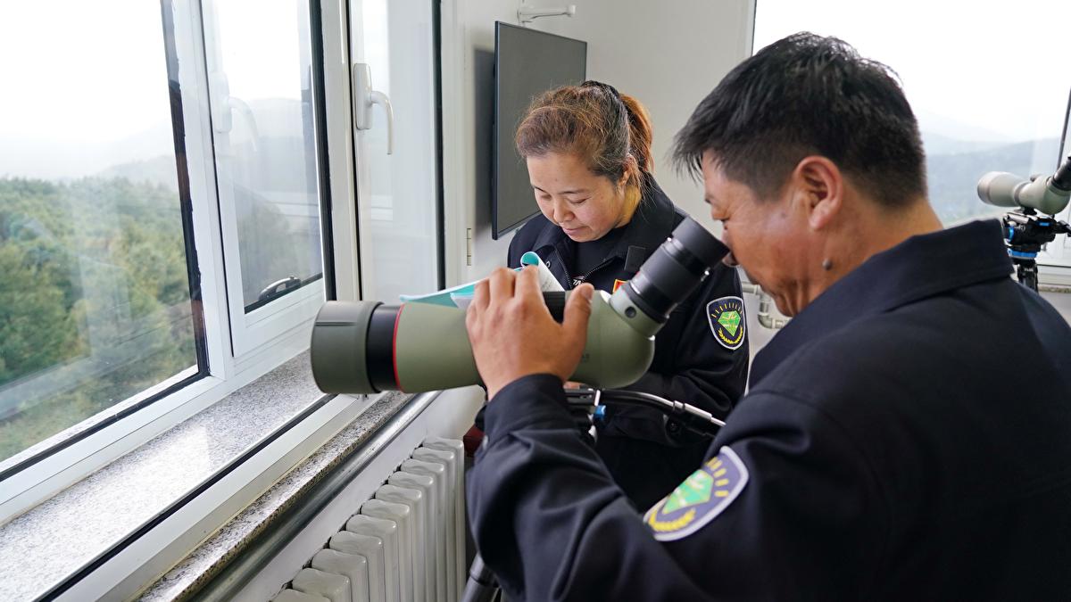 Environmental heroes keeping nature safe