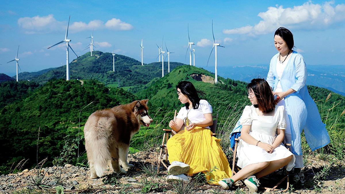 China ups global green cooperation