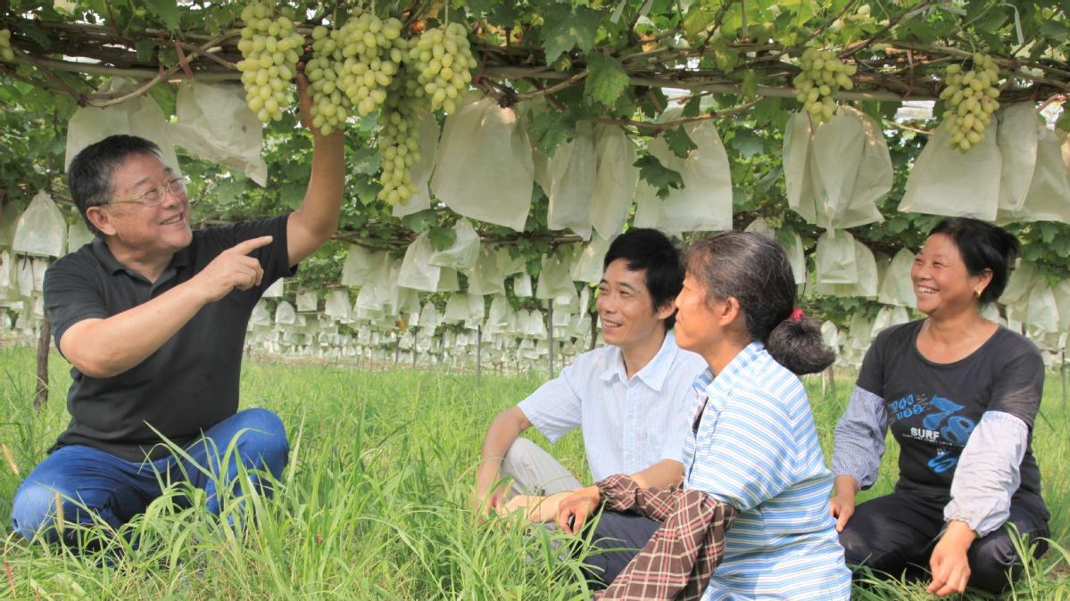 Measures to raise farmers' incomes expand