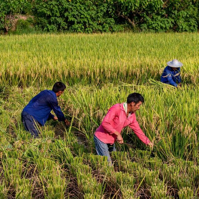 Thriftiness still a virtue despite prosperous lifestyle