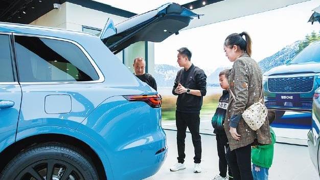 Chinese auto brands gain larger market share in first two months