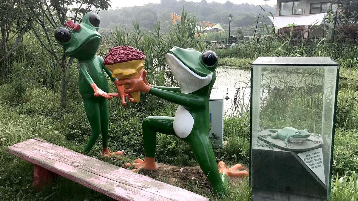 Frogs help villagers hop out of poverty in Jiangsu