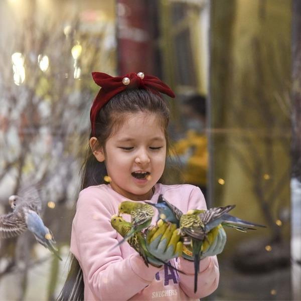 Abhorrent Western lies about Xinjiang