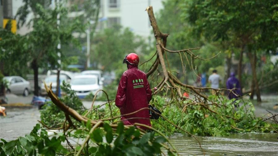China raises alert level as typhoon Muifa approaches