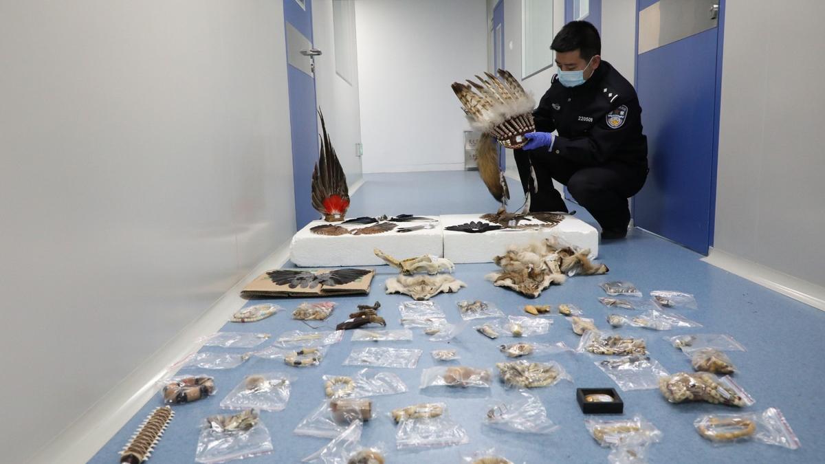 Draft law aims to hone animal epidemic control